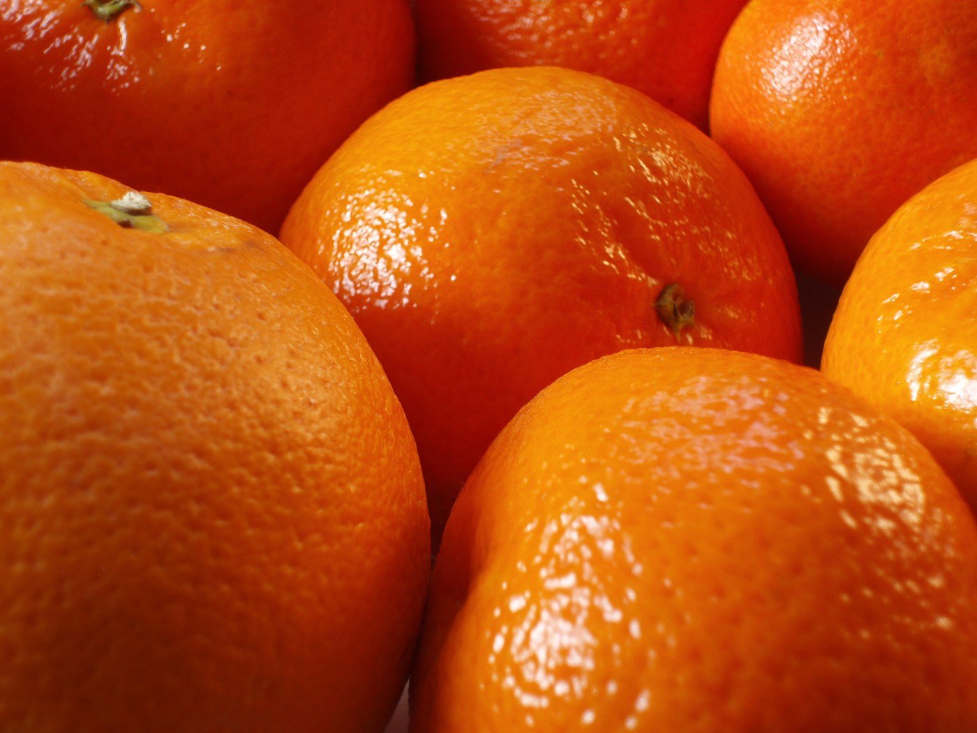 An Expert Interview About Mom’s Amazing Oranges